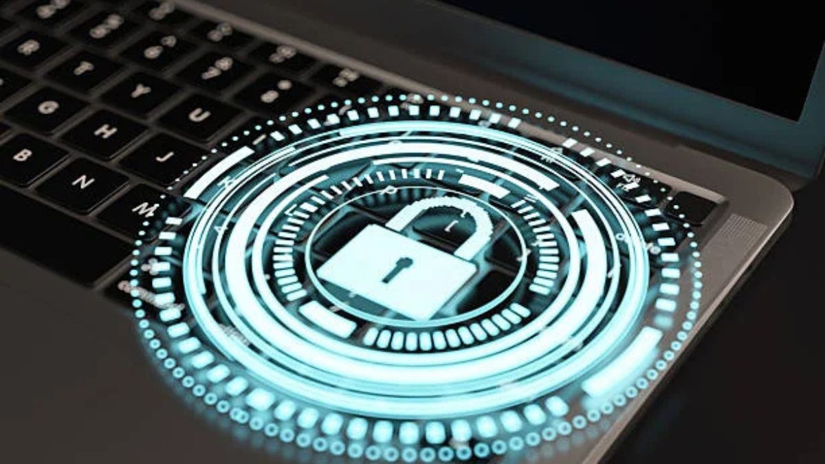 AnonVault: Your Ultimate Digital Sanctuary for Private Data